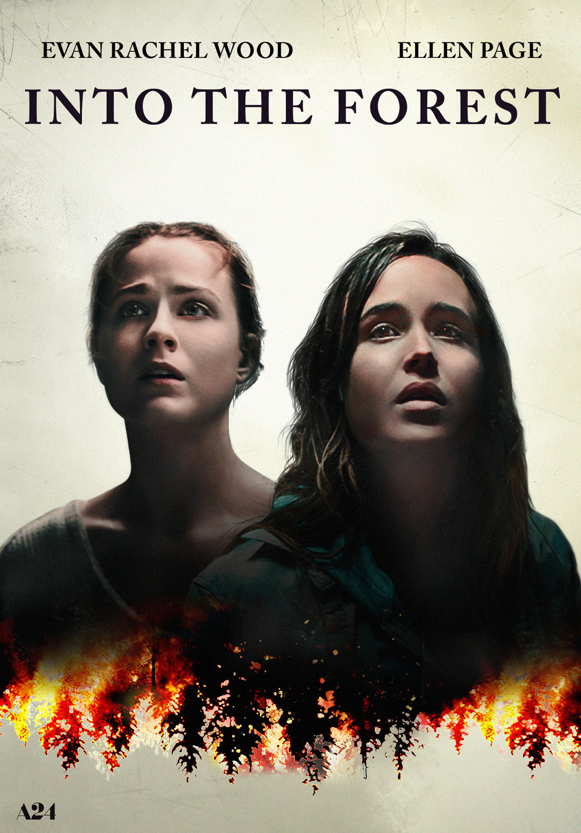 Into the Forest (2015) | Kaleidescape Movie Store